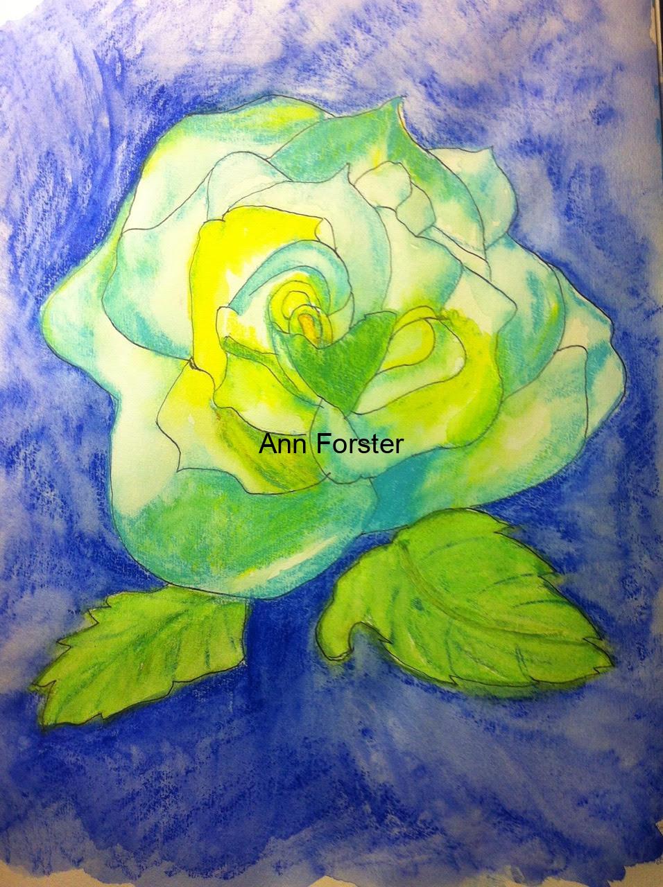 Floral Paintings | Watercolor Paintings | Ann Forster